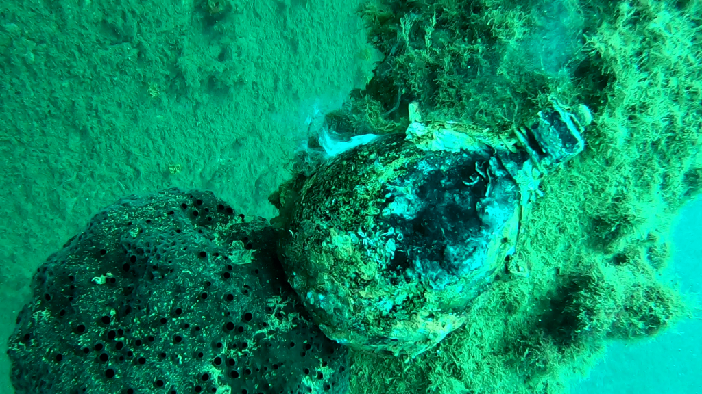 A diver finds ancient historical relics at the bottom of the sea ...